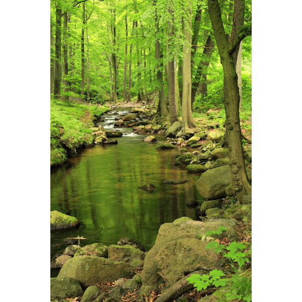 Alpen Home Forest Stream von AVTG - Kunstdrucke auf Leinwand | Wayfair.de
